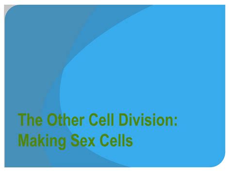 Ppt The Other Cell Division Making Sex Cells Powerpoint Presentation