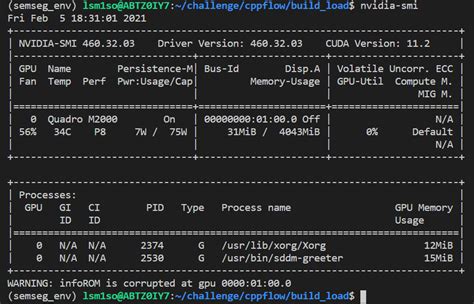 failed call to cuinit cuda error out of memory out of memory