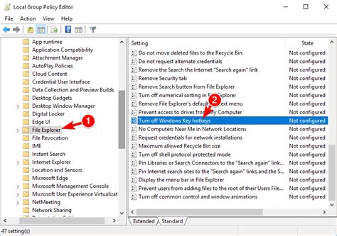 how to disable windows key viewerbrown