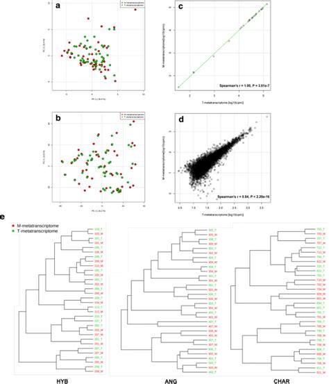 Comparative Metagenomic And Metatranscriptomic Analyses Reveal The