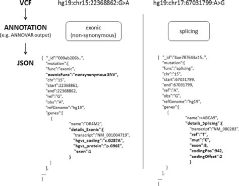 example of annotated variants in json format two variants represented