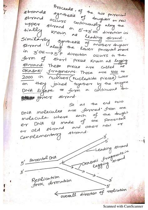 Notes On Dna Structure And Its Replication Notes Learnpick India