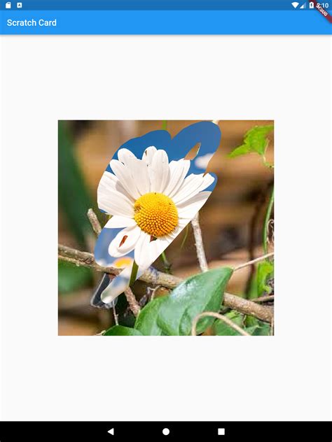 dart flutter masking effect like wizard school app