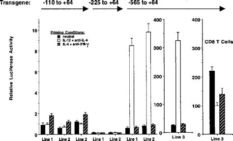 Figure 1 From A Minimal Ifn γ Promoter Confers Th1 Selective