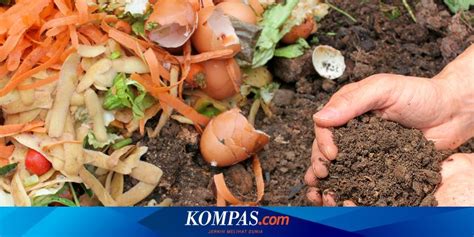 Ini Cara Mudah Membuat Pupuk Kompos Rumahan