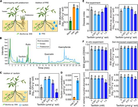 Interspecific Plant Interaction Via Root Exudates Structures The