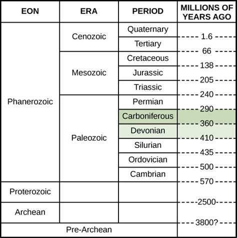 Seedless Plants Introductory Biology Evolutionary And Ecological