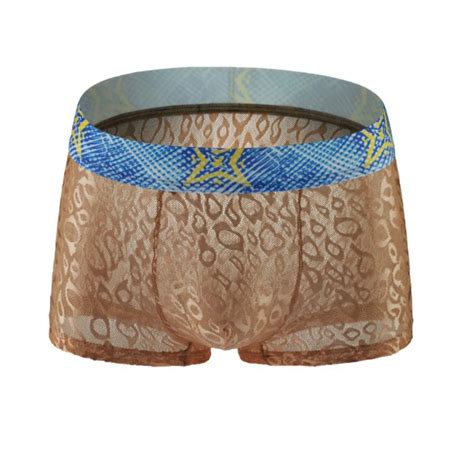 Summer Breathable Leopard Mesh Sheer Boxer Shorts Men Sexy Low Waist