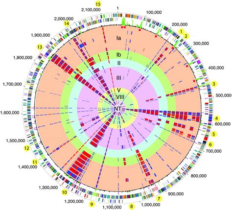 Complete Genome Sequence And Comparative Genomic Analysis Of An