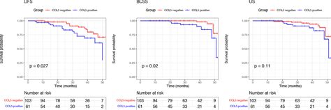 Frontiers Ccl5 Mediates Breast Cancer Metastasis And Prognosis