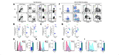 T Cell Phenotyping Of B6 And Pwd Mice With Splenocytes For Steady