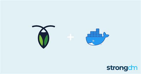 connect cockroachdb and docker strongdm