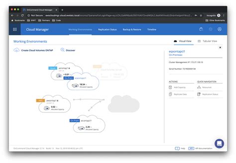 netapp cloud volumes ontap wwt