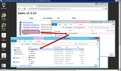 module 3 adding selenium browser automation in to the