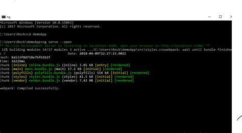 cannot interact with command prompt in angular stack