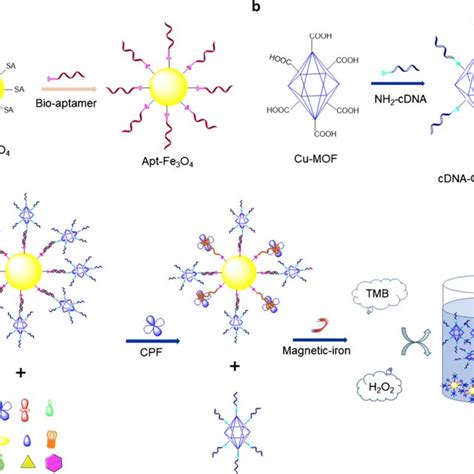 Schematic Illustration Of Cu Mof Based Colorimetric Detection Of Cpf
