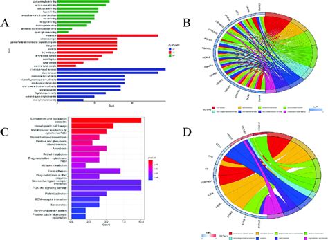 Go And Kegg Pathway Analysis Of The Differentially Expressed Lncrnas