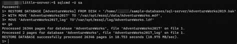 how to copy sql server database from windows to linux restore database