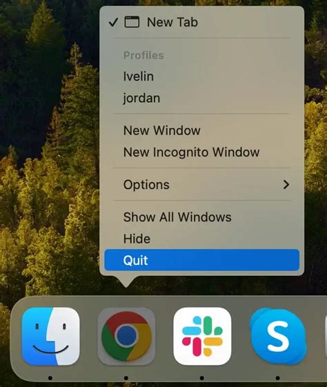 Mac から Chrome を完全にアンインストールする [究極ガイド]