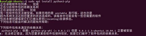 sudo apt install python3 pip error python3 pip dependency