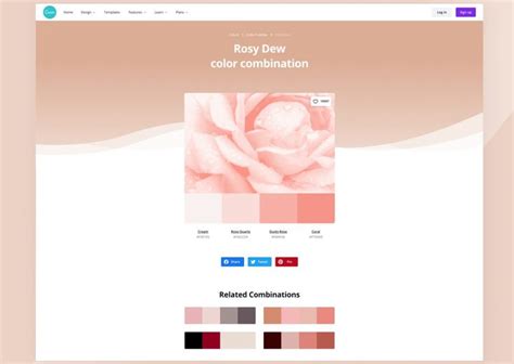 Daftar Website Penyedia Palet Warna Kelasanimasi Com