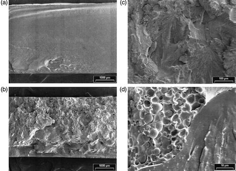 A Sem Micrograph Of Fracture Surface Of The Neat Epoxy Resin B