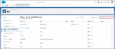 【tips 】標準の名前 name 項目にデフォルト値を表示する方法 セールスフォース標準化推進ラボ