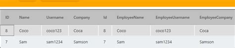 wpf c datagrid duplicate the columns when i try to get the data from