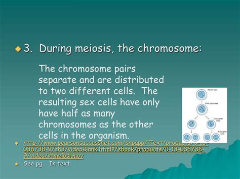 ppt chapter 3 genetics the science of heredity powerpoint