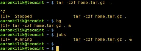 how to start linux command in background and detach