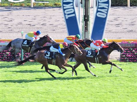 【鷹巣山特別】レッドヴェイロンが圧倒的人気にこたえる！ゴール前強襲 競馬ニュースなら競馬のおはなし