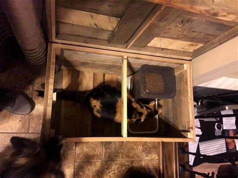 Pallet Cat House Diy Pallets Pro
