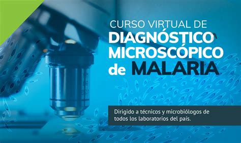 Ops Inciensa Y Ms Lanzan Curso Virtual De Malaria Que Fortalece Las