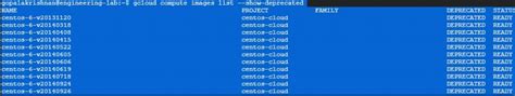gcloud list images