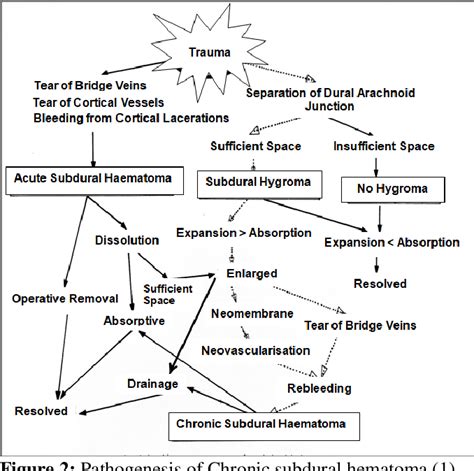 Acute Subdural Hematoma Pathophysiology