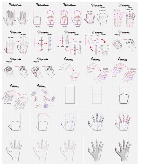 How To Draw Hands – A Step By Step Guide – Artlex How To Draw Hands