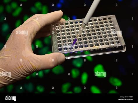Dna Testing In Genetic Laboratories Biological Scientific Equipment
