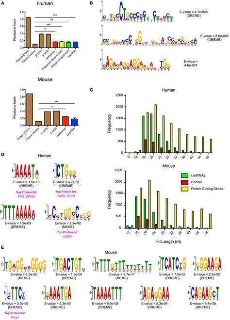Frontiers Catalog Of Differentially Expressed Long Non Coding Rna