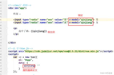 Vue常用属性及组件 Vue 组件属性 Csdn博客