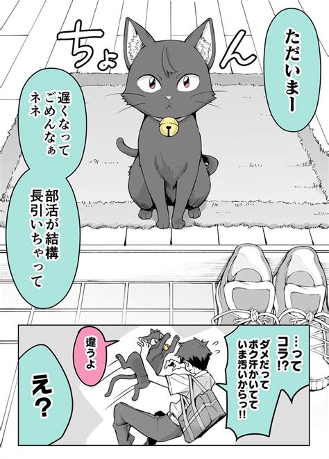 ヤンデレ「愛が重すぎるうちのヤンデレ飼い猫 1 1 2 」小龍 ニートアニメ化🎮2日目東ス73abの漫画