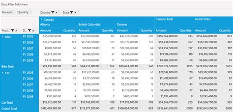 display options in wpf pivot grid control syncfusion