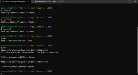 git bash terminal how can i read user input in git bash