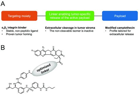 Structure Of The Small Molecule Drug Conjugate Vip236 A The Small