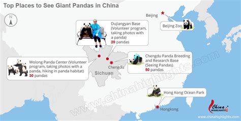 5 top places to see giant pandas in china