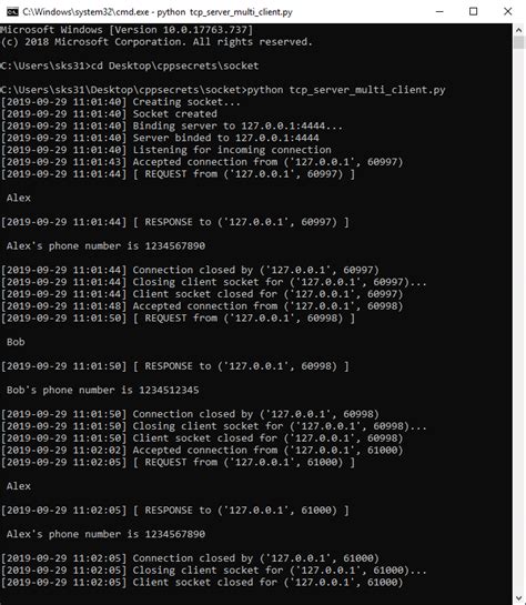 python tcp server with multiple clients python