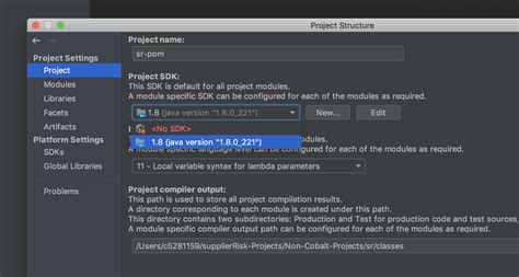 intellij error java java lang exceptionininitializererror stack overflow