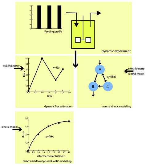 metabolites free full text effective estimation of dynamic