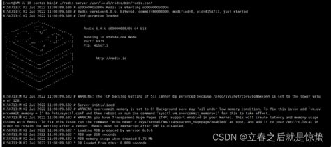 linux安装redis自启动详解 linux redis自启动 立春之后就是惊蛰的博客 csdn博客