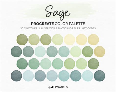 Sage Procreate Color Palette Color Swatches Ipad Etsy Canada In 2023