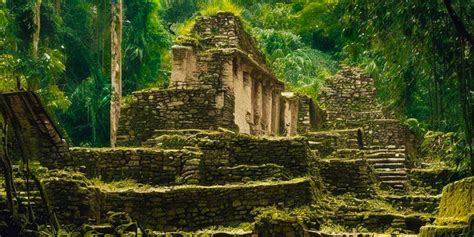 Mayan Decline Theories